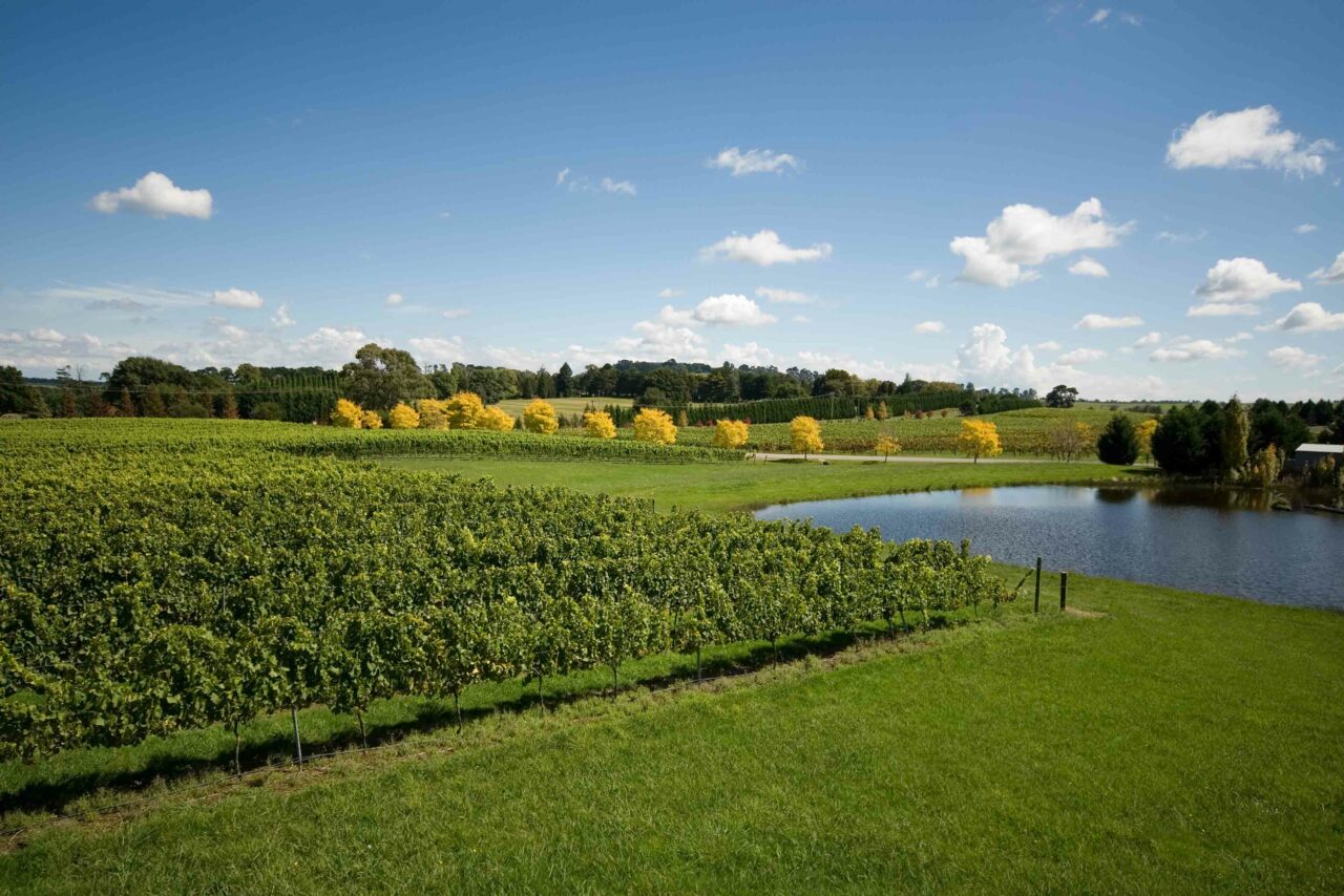 Mittagong Home Page - Springs Motel